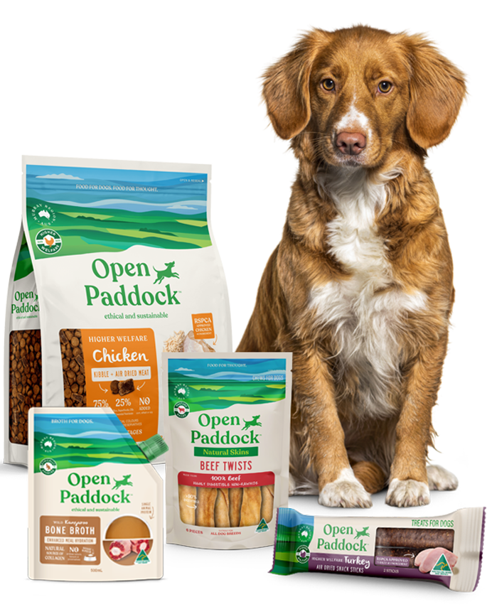 About Us – OPEN PADDOCK